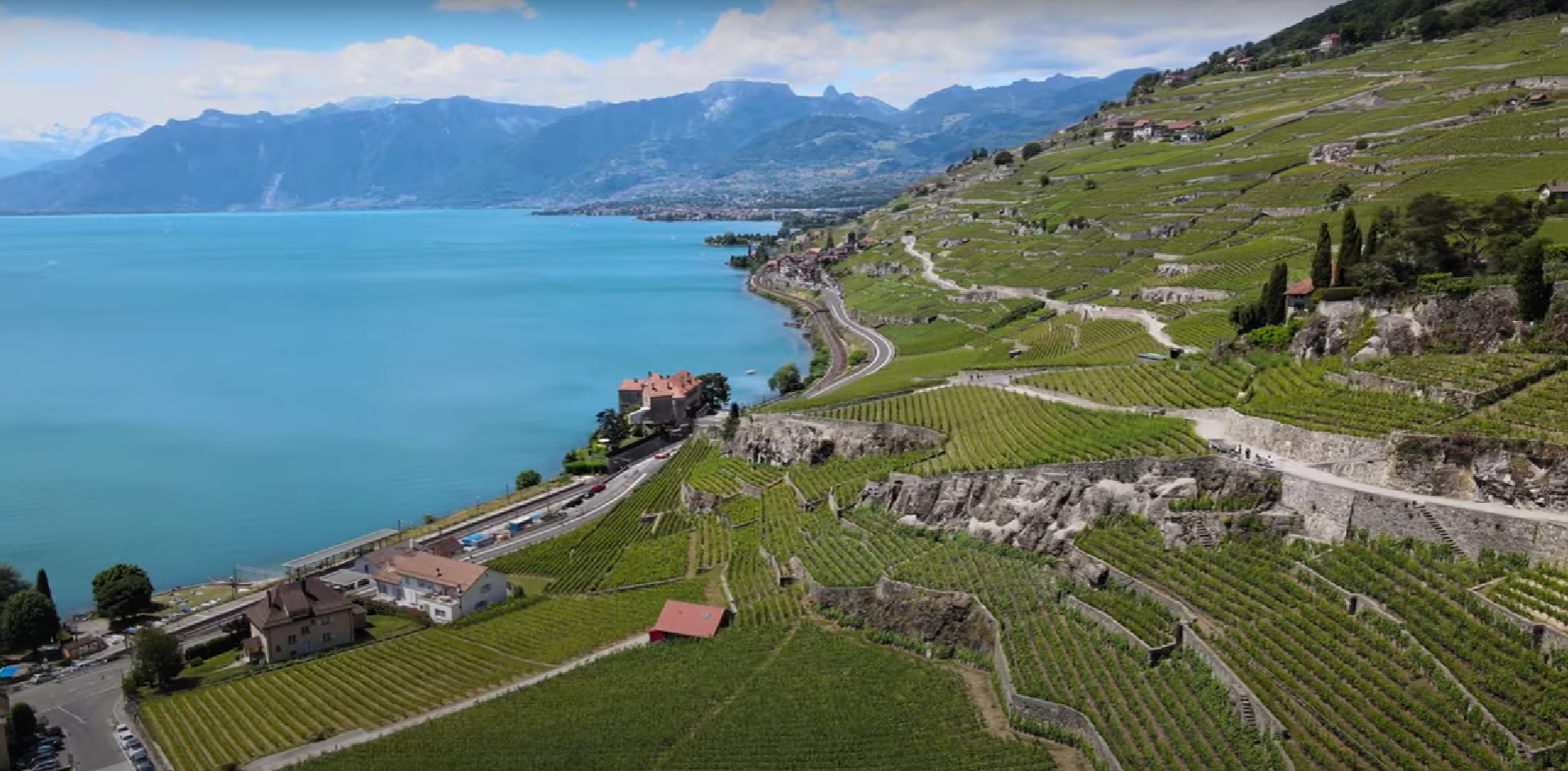 🇨🇭Exploring the World of Switzerland Wines: A Compact Comprehensive ...